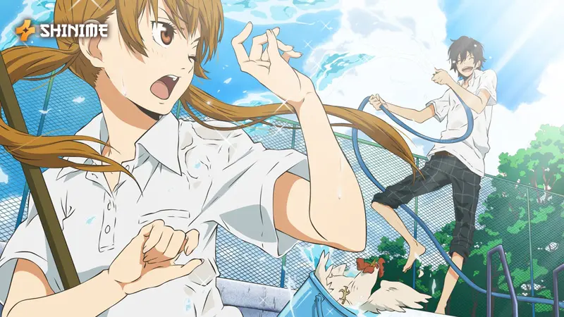 Top 10 Shoujo Anime Series To Watch In 2025 - Shinime